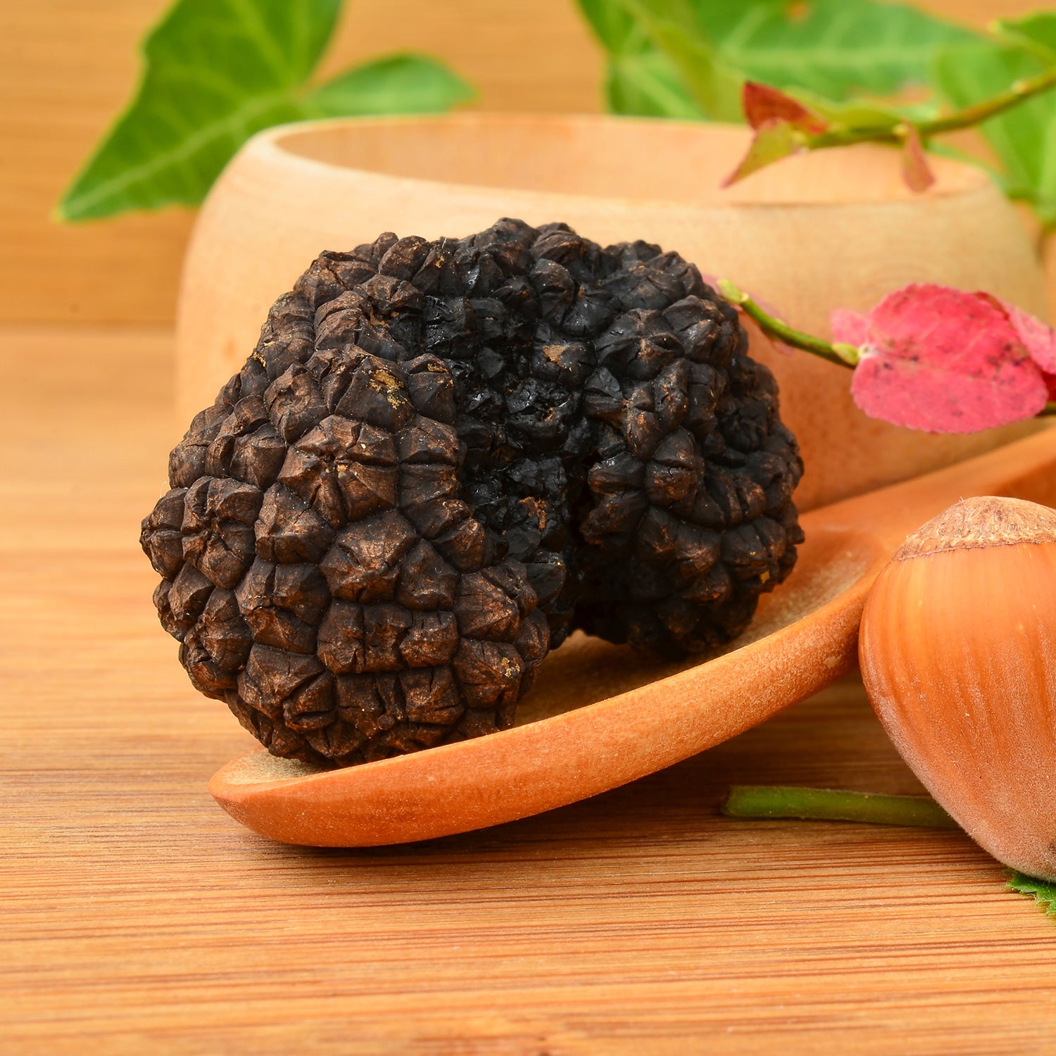 Truffe d'Automne (Uncinatum) | From 250 g | Pour the restaurants – SHOP EU